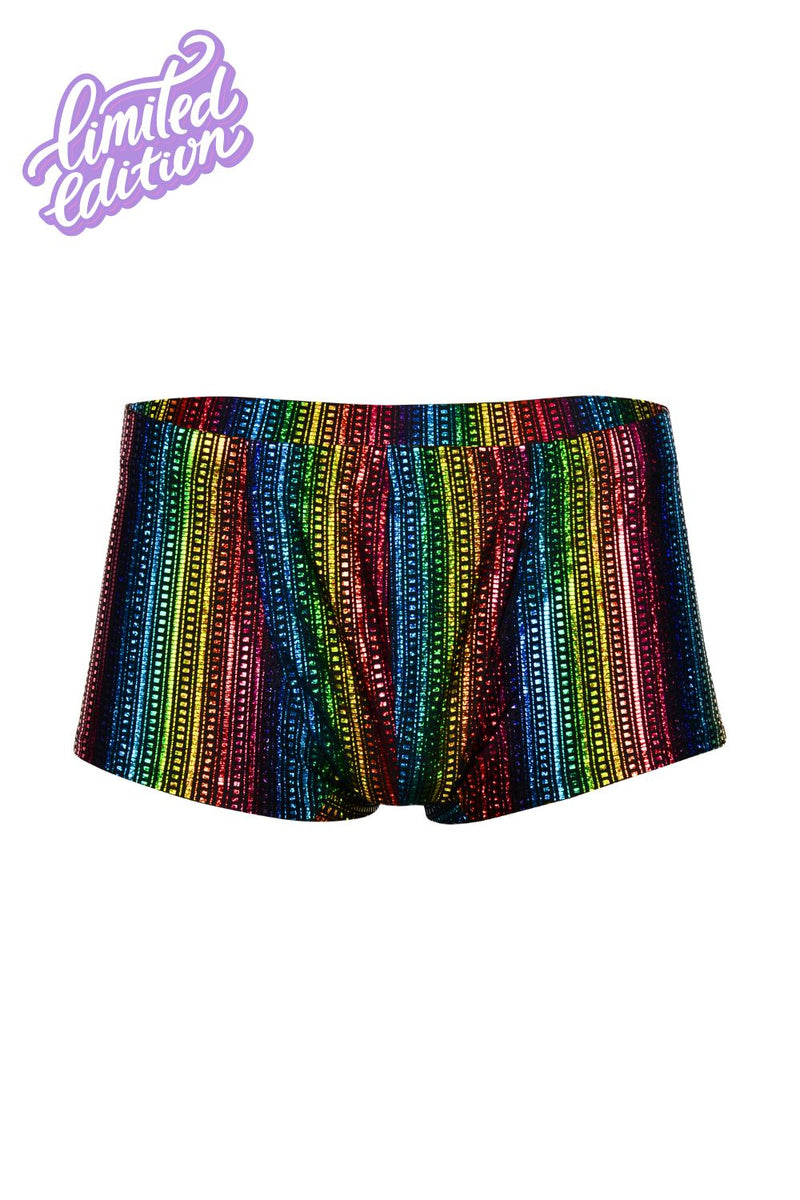 Taste The Rainbow Holographic Briefs | Pride & Festival Wear – Sea ...